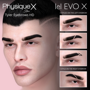 Second Life Marketplace - Physique X - Tyler Eyebrows HD (m) lel EVO X - Unpacker